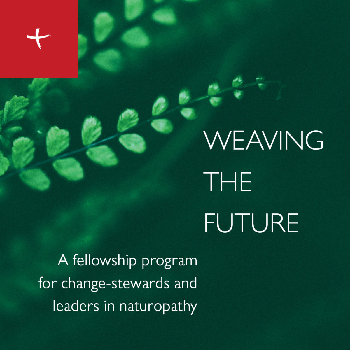 Weaving the Future | Ten Directions